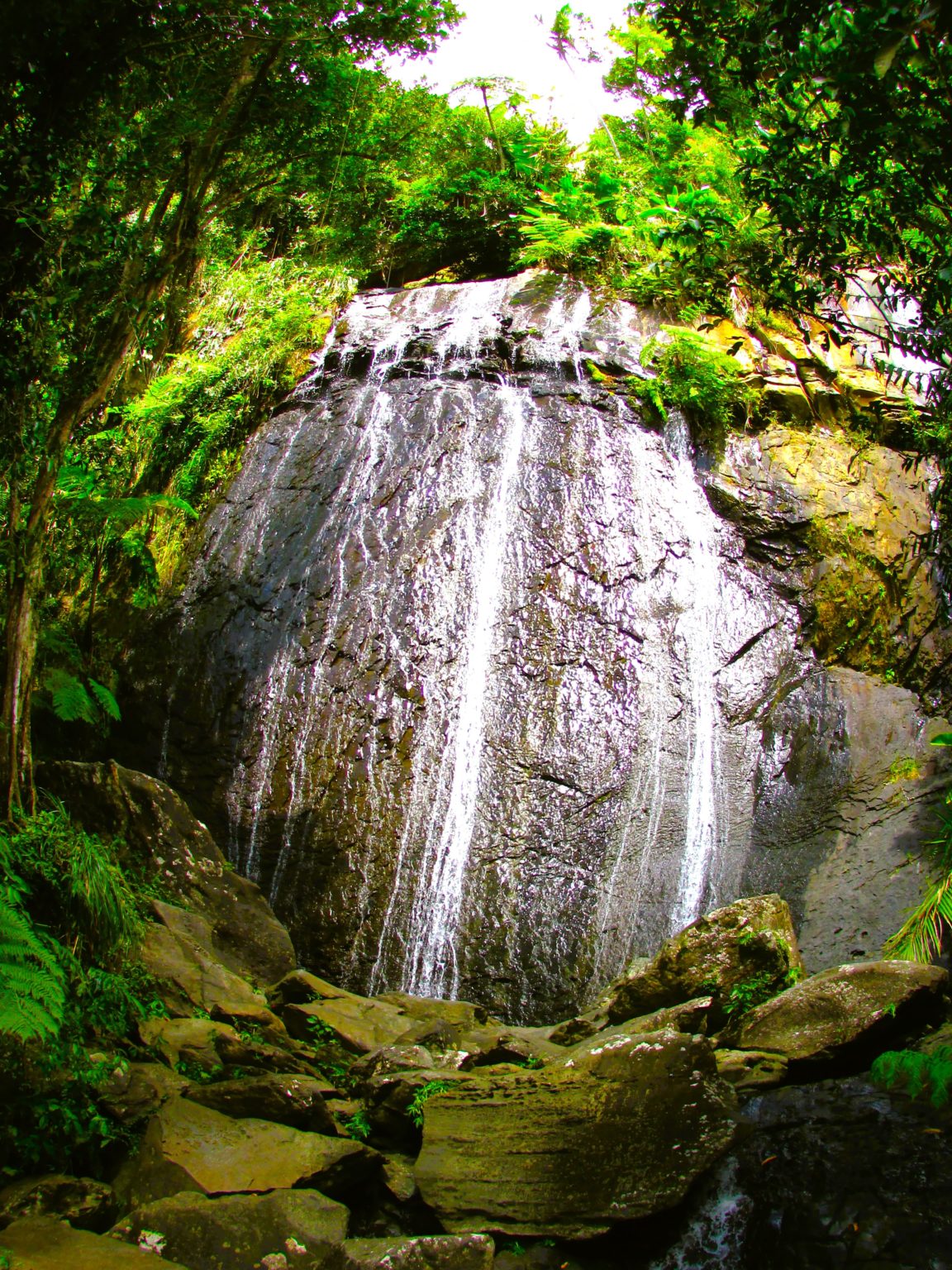 El Yunque National Park
