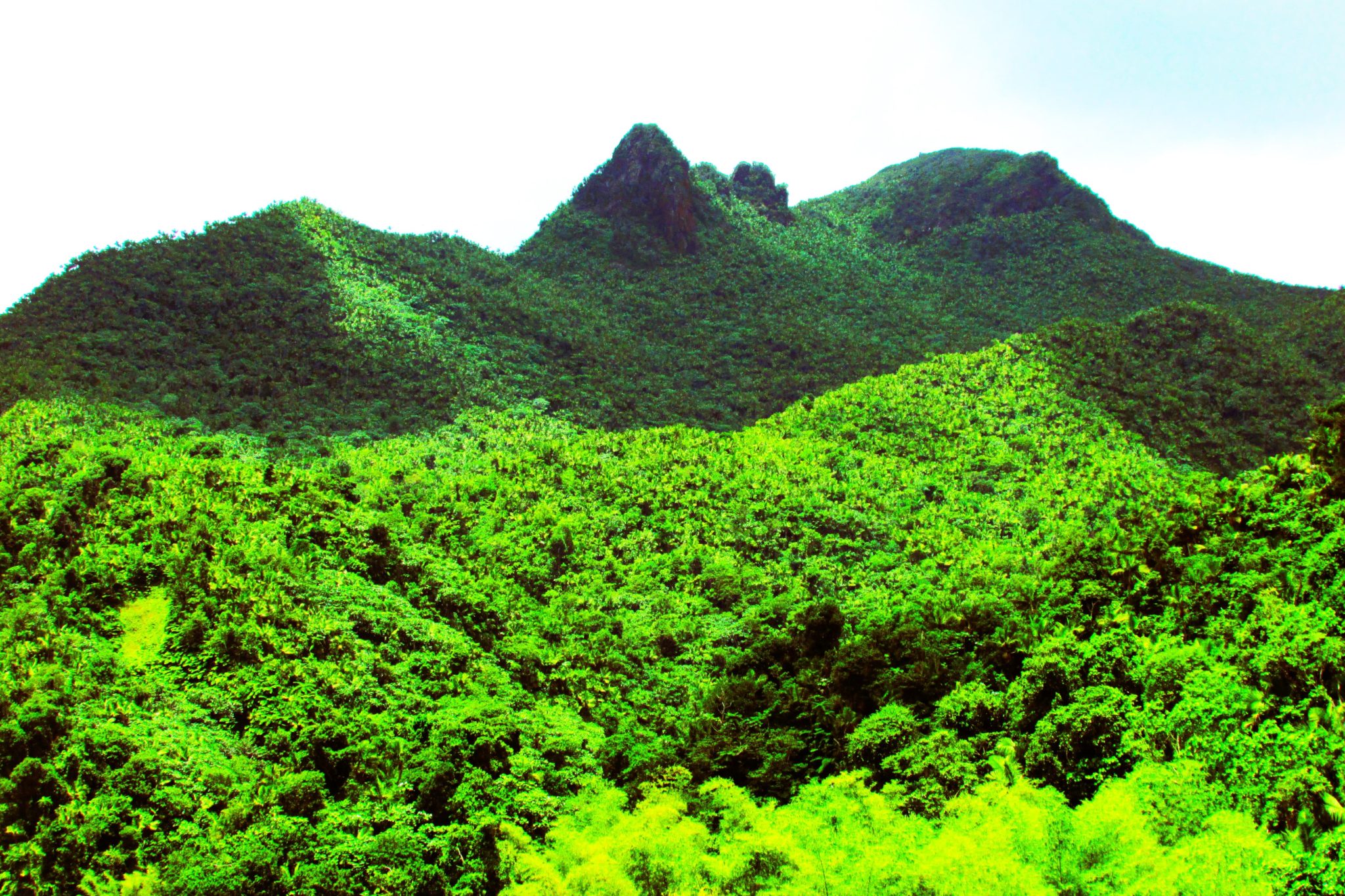 El Yunque National Park